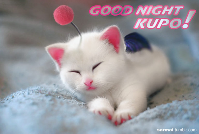 Moogle FAQ: The Ultiamate Guide to Moogles - Media Moogle